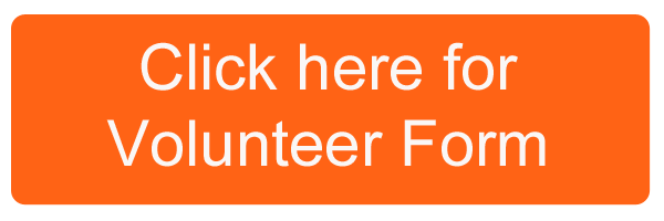 Volunteer - Watermark Art Center